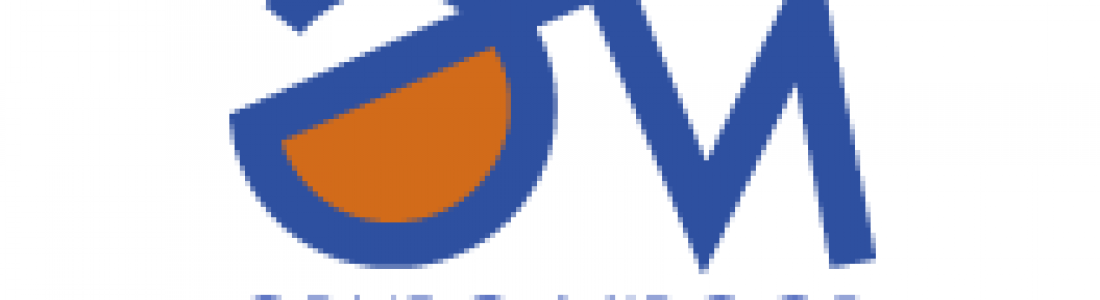 Mirgor - Snoop Consulting